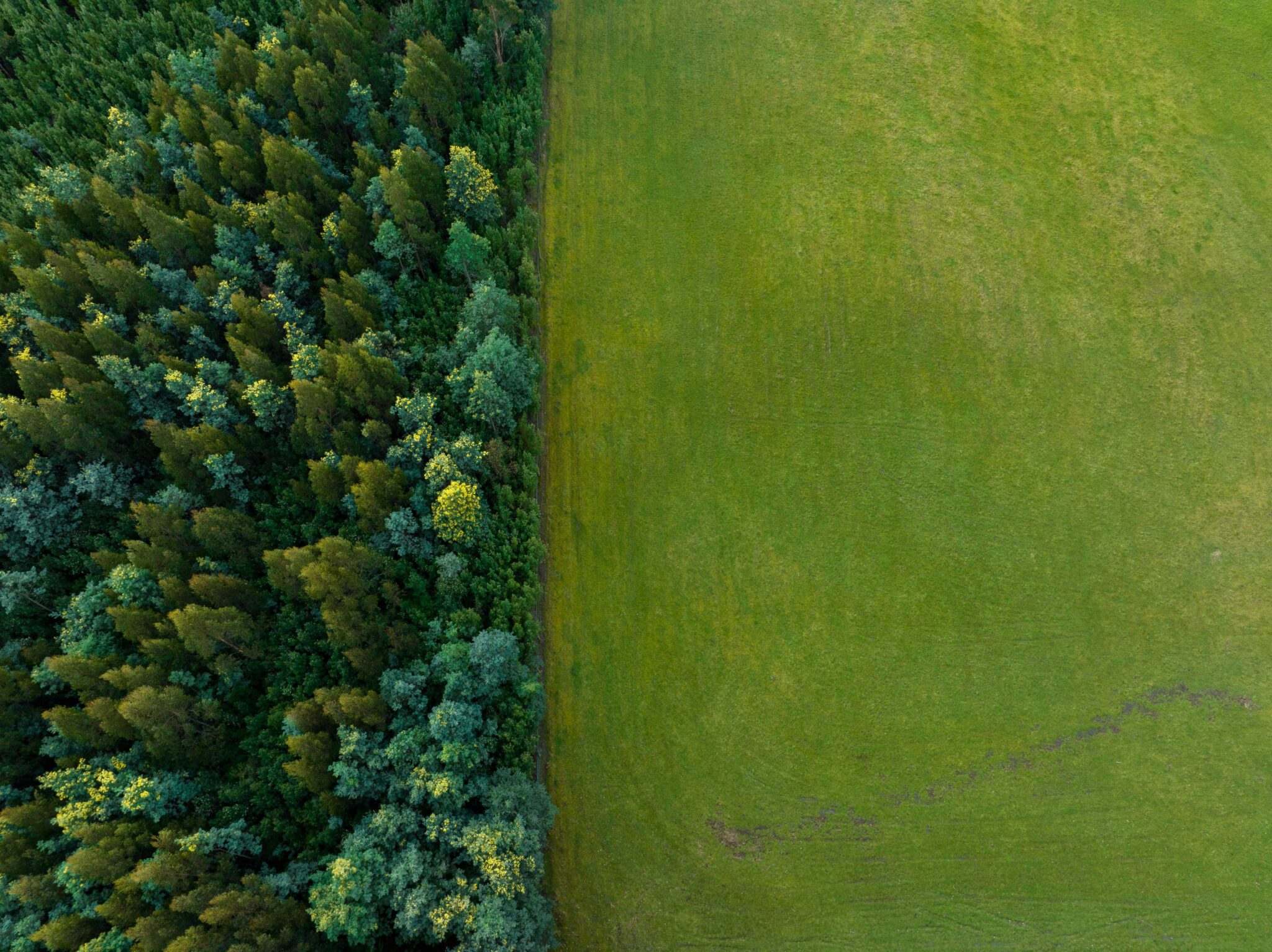 Multispectral Imagery | UK | Survey Air